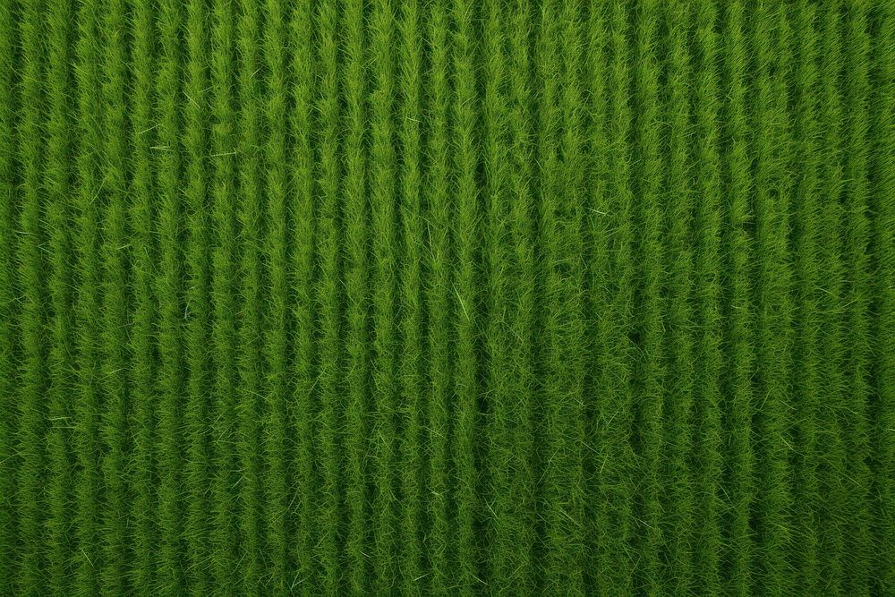 Lawn strip line grass backgrounds | Premium Photo - rawpixel