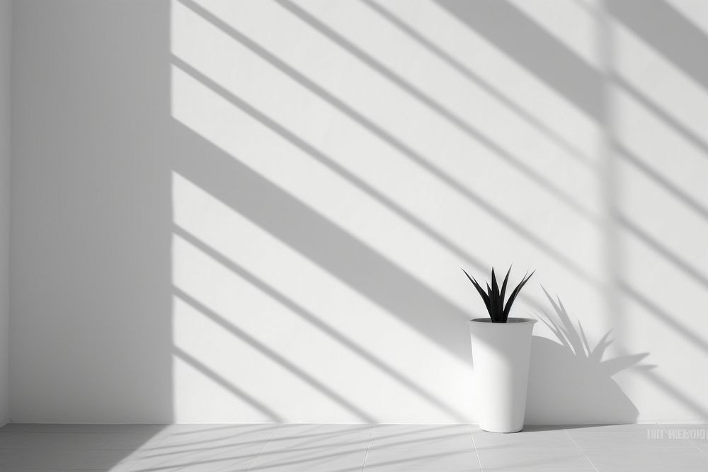 Window white shadow light. AI | Free Photo - rawpixel