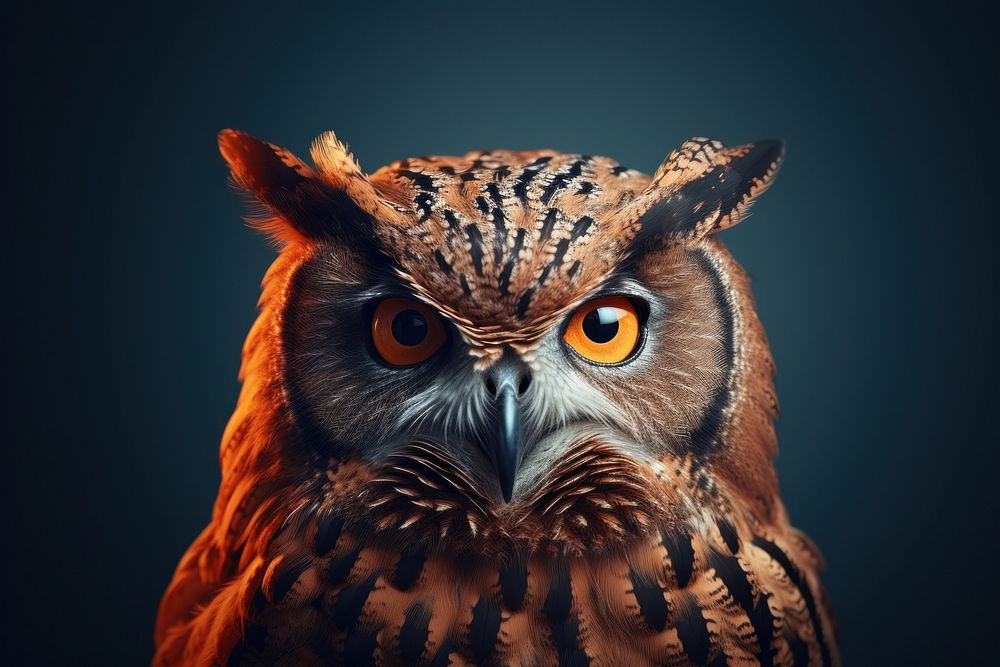 Owl chinese Style owl animal | Premium Photo - rawpixel