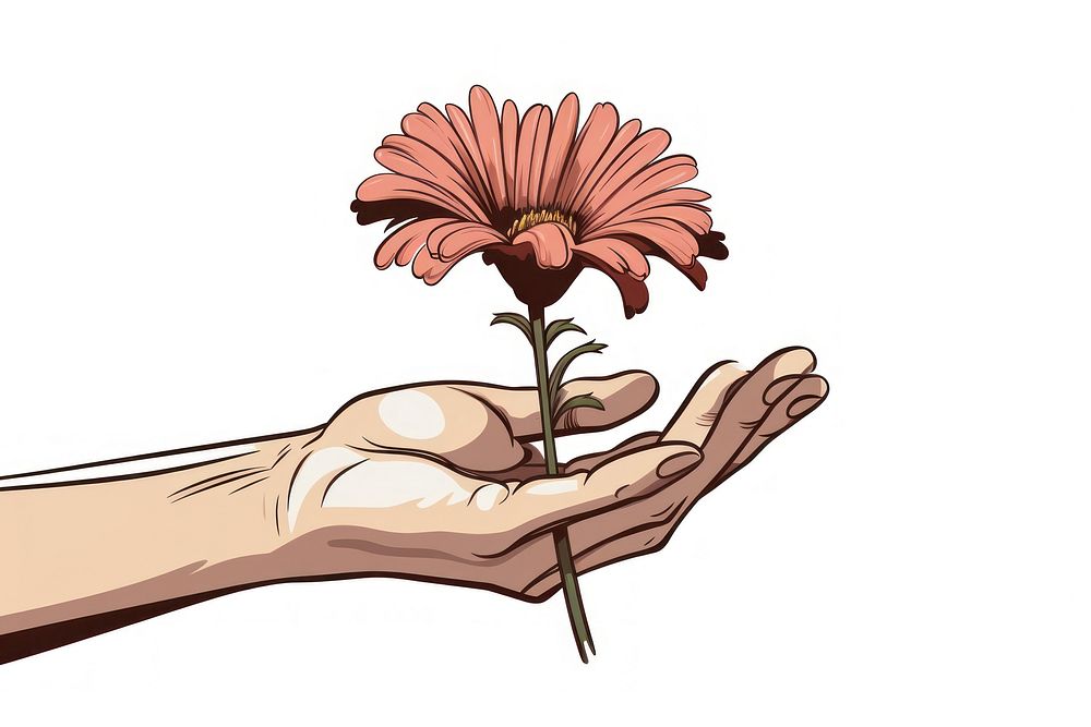 Human hands holding Flower flower | Free Photo Illustration - rawpixel