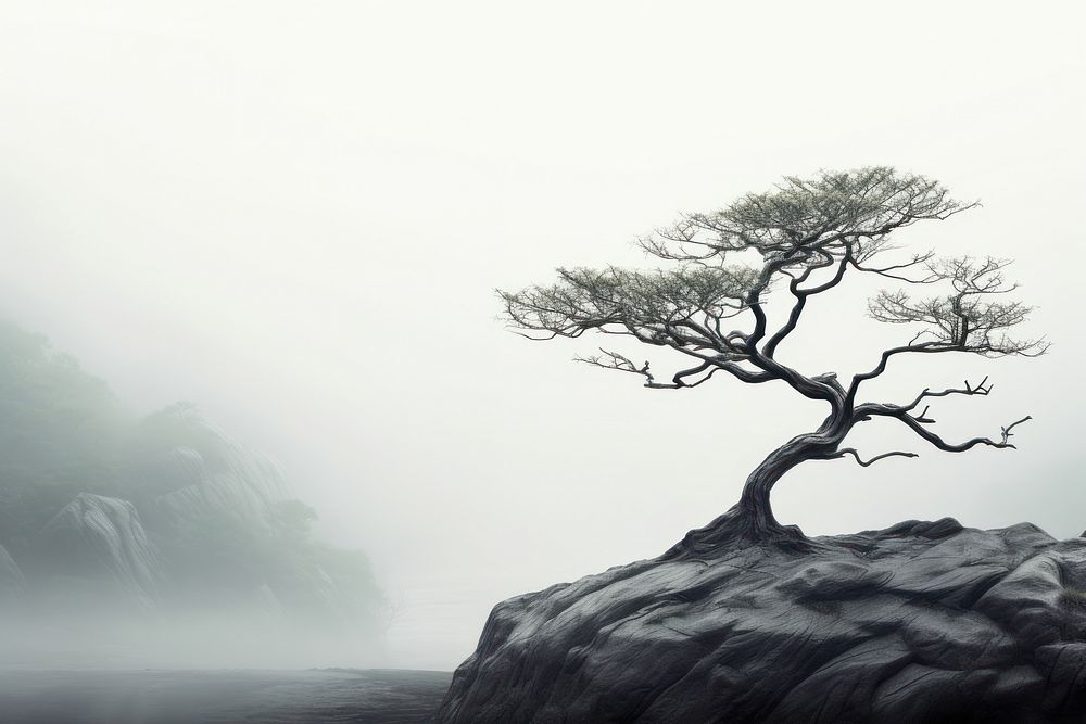 Tree chinese Style tree outdoors | Premium Photo - rawpixel