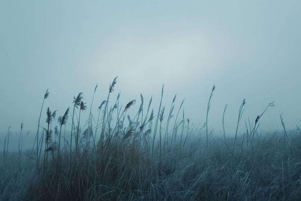 Wind outdoors nature grass. | Free Photo - rawpixel