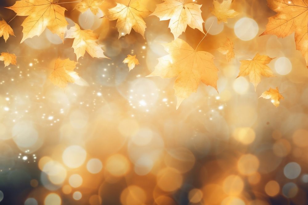 Autumn maple leaves pattern bokeh | Free Photo - rawpixel