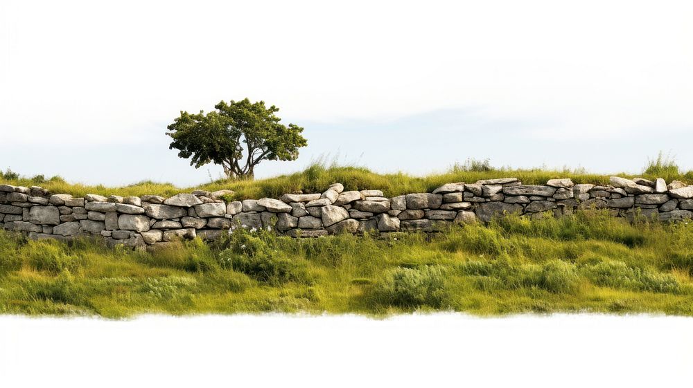 Nature field wall architecture. AI | Premium Photo - rawpixel