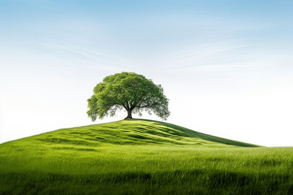 Hilly grass field tree landscape | Free Photo - rawpixel