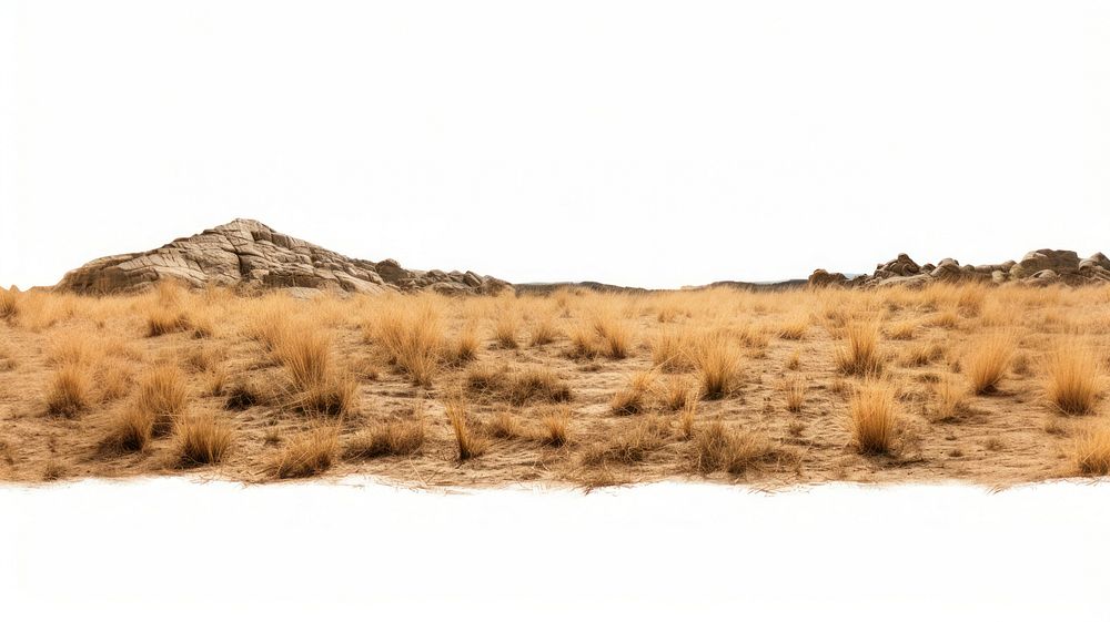 Rocky hilly dry grass fields | Premium Photo - rawpixel