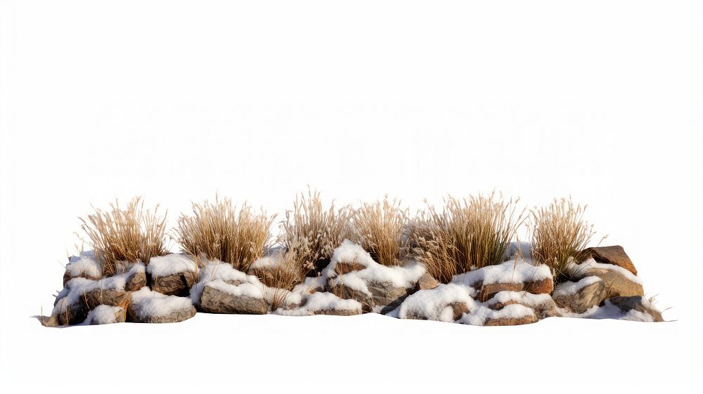 Rocky snowy grass field nature | Premium Photo - rawpixel