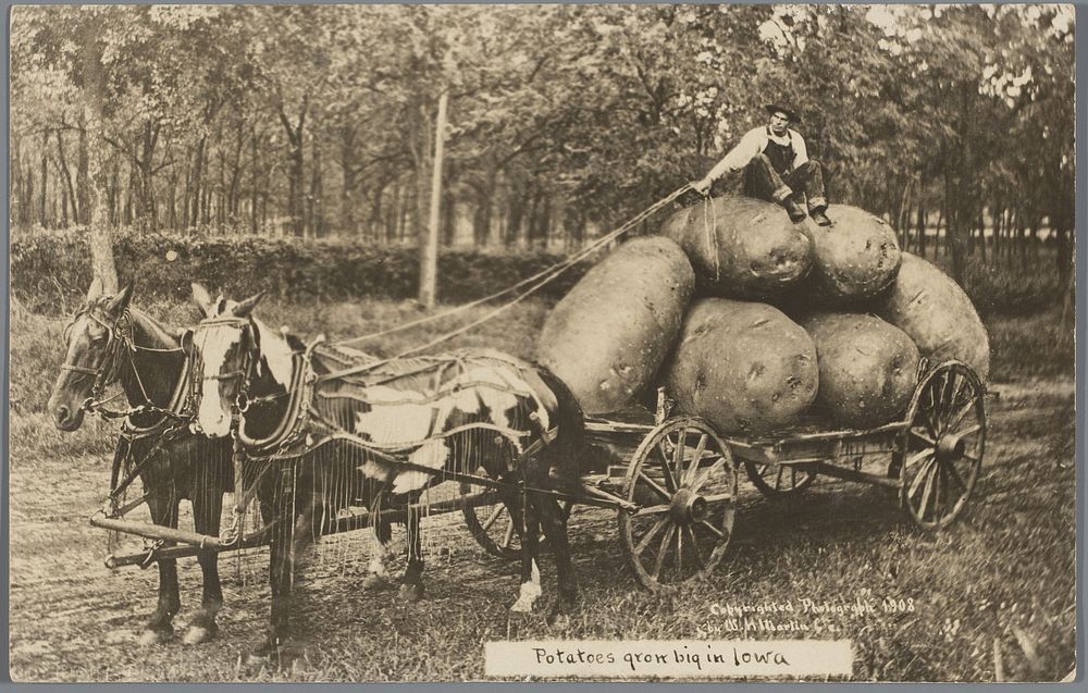 Potatoes grow big Iowa (1908) | Free Photo Illustration - rawpixel