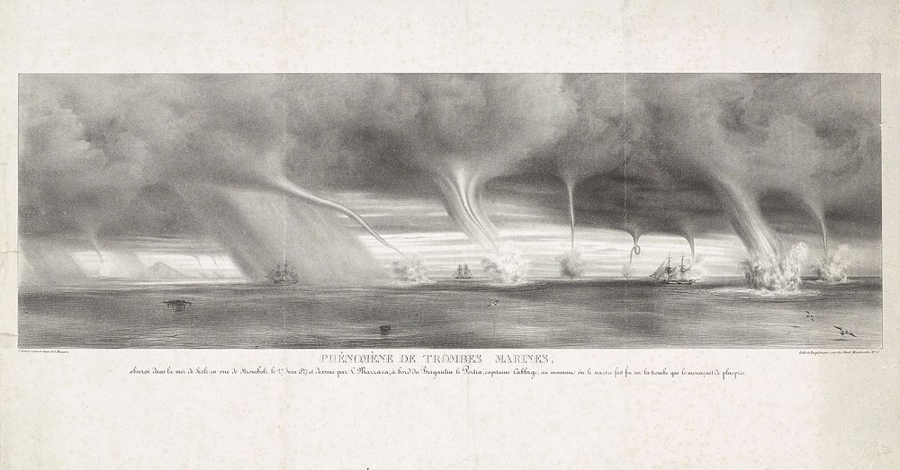 Waterhozen op zee bij Sicilië, | Free Photo Illustration - rawpixel