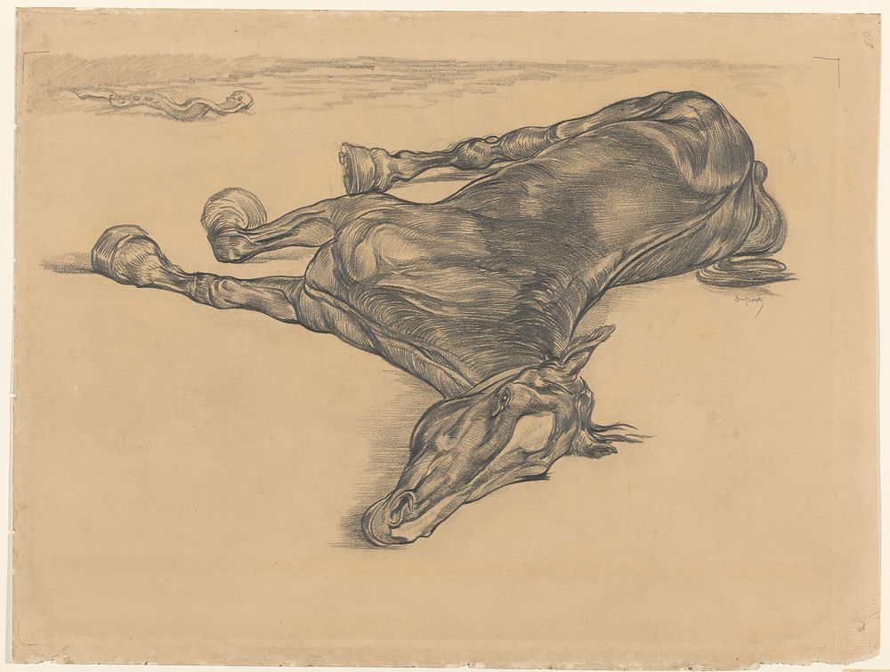Dood paard (1880 - 1911) | Free Photo Illustration - rawpixel