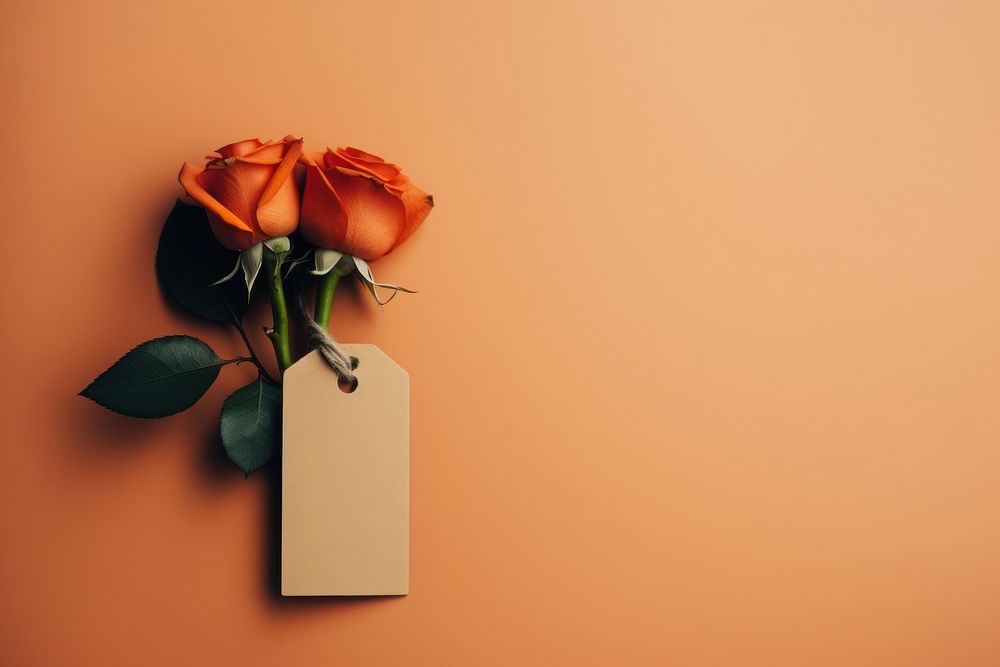 Flower tag bouquet petal plant | Premium Photo - rawpixel