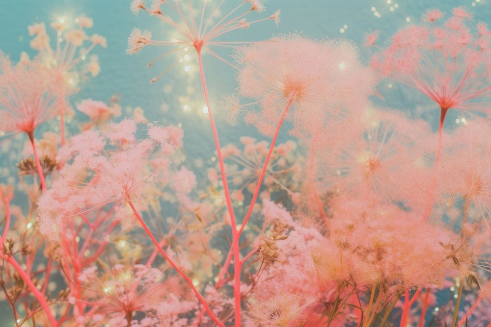 Fireworks craft collage backgrounds outdoors | Premium Photo ...