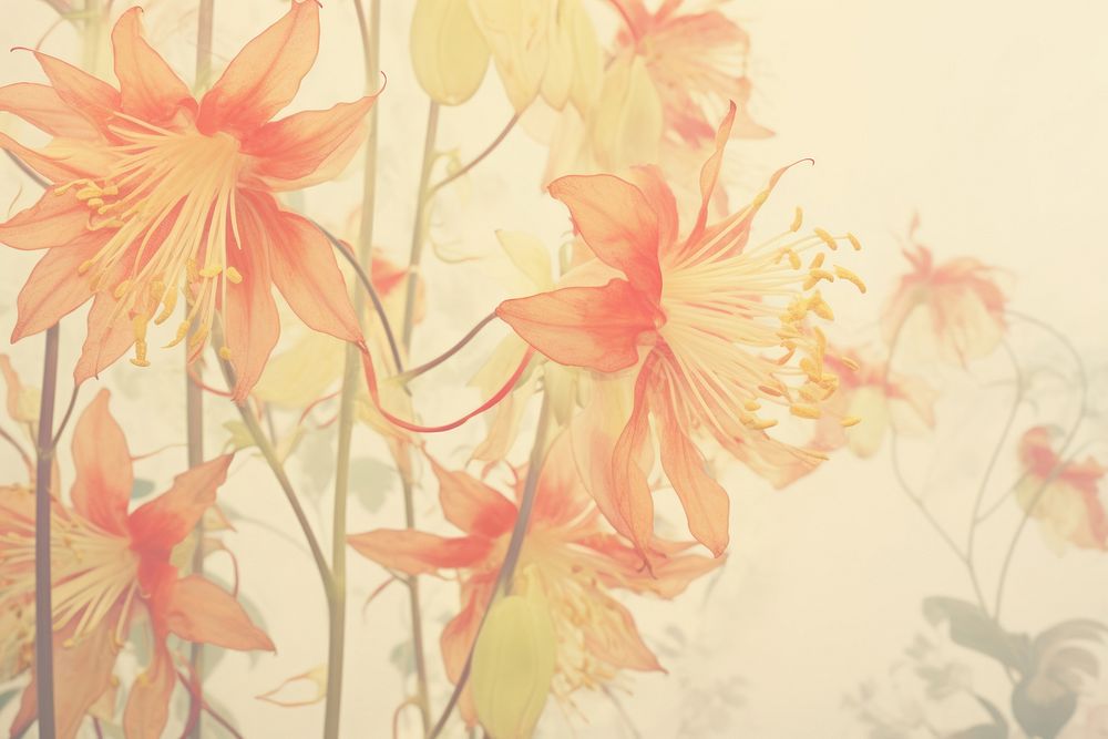 Autumn Floral Photography flower plant | Free Photo - rawpixel