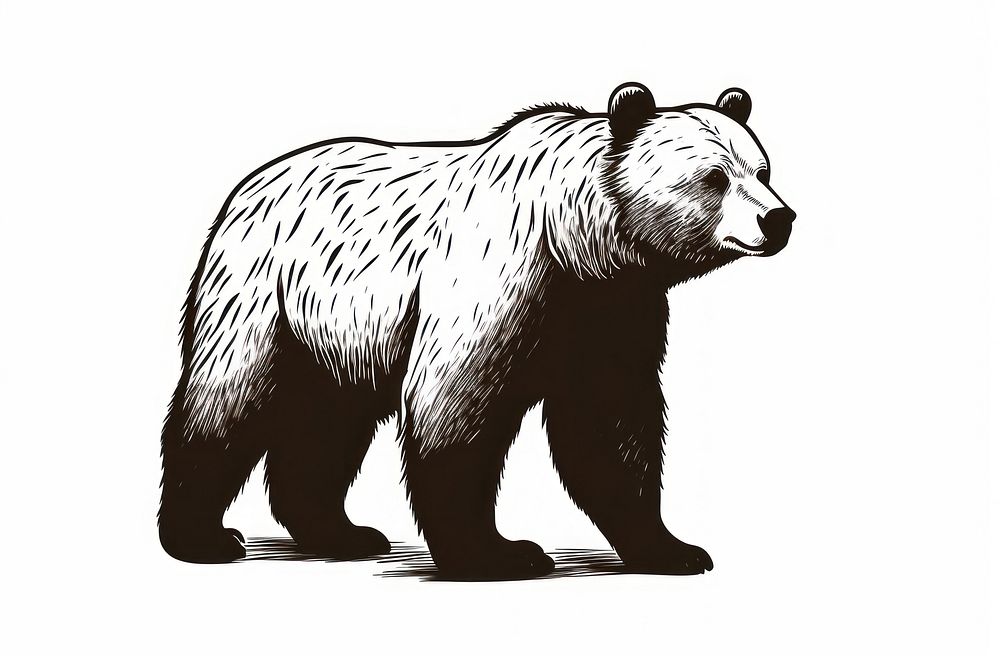 Vintage cartoon style bear wildlife | Free Photo Illustration - rawpixel