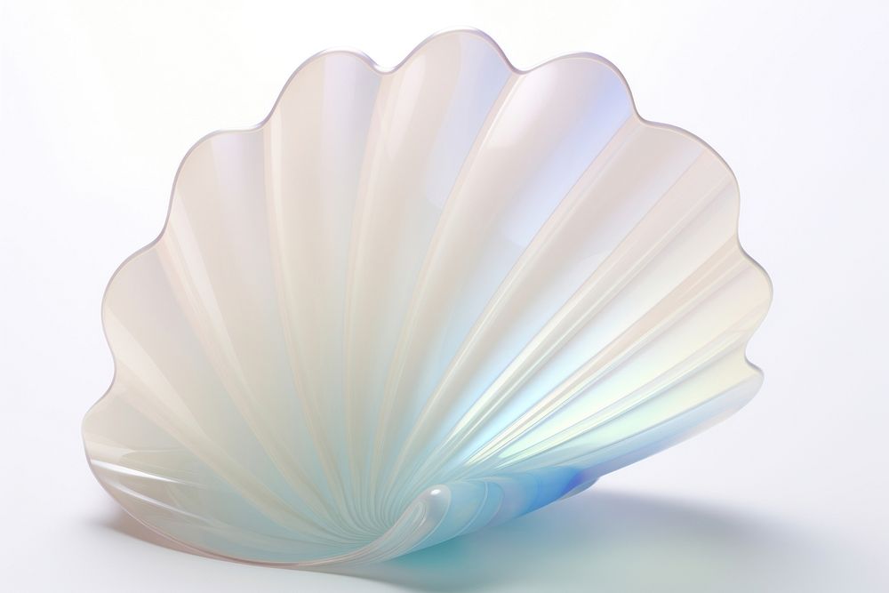 Shell invertebrate translucent seashell. | Premium Photo Illustration ...