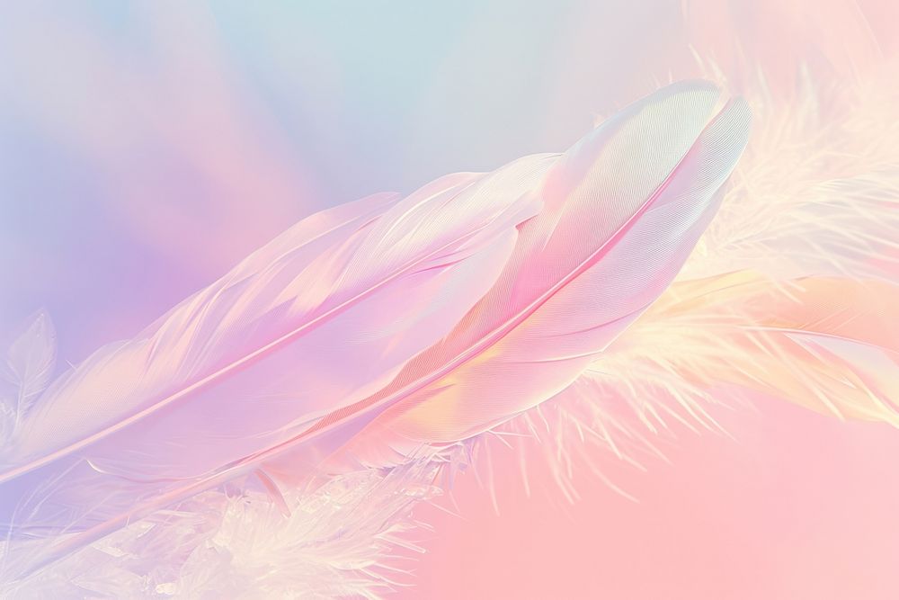 Feather holography lightweight backgrounds accessories. | Free Photo ... Feather holography lightweight backgrounds accessories. | Free Photo ...