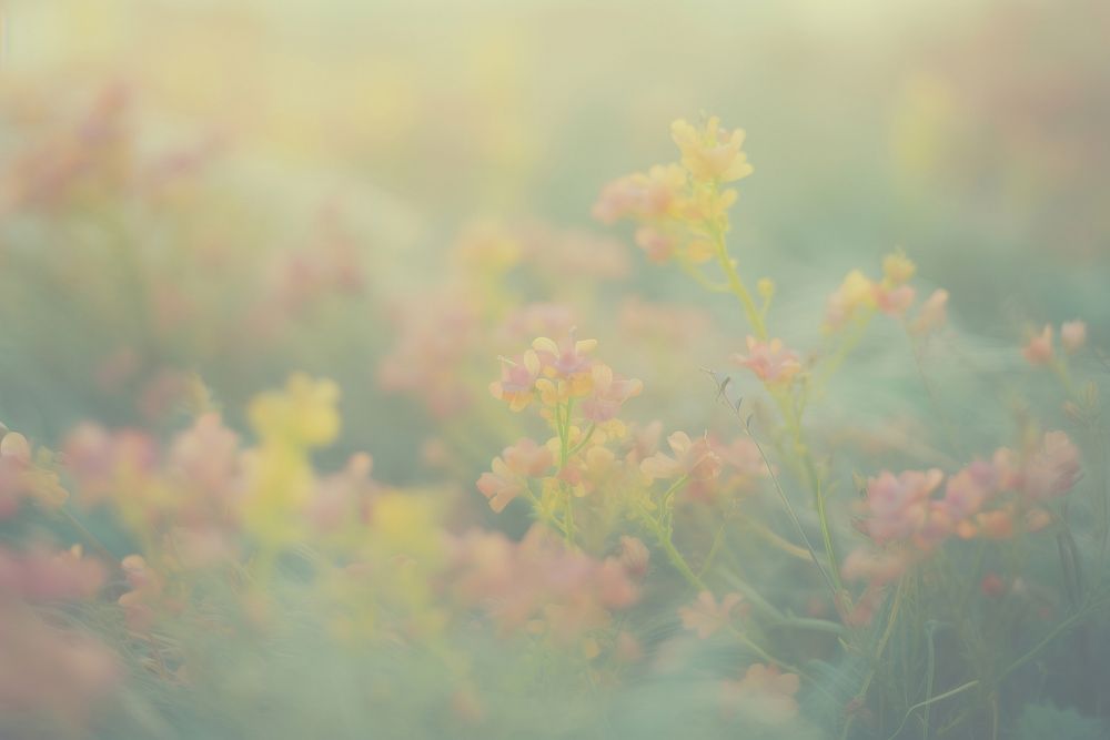 Dreamy pastel peaceful flower garden | Free Photo - rawpixel