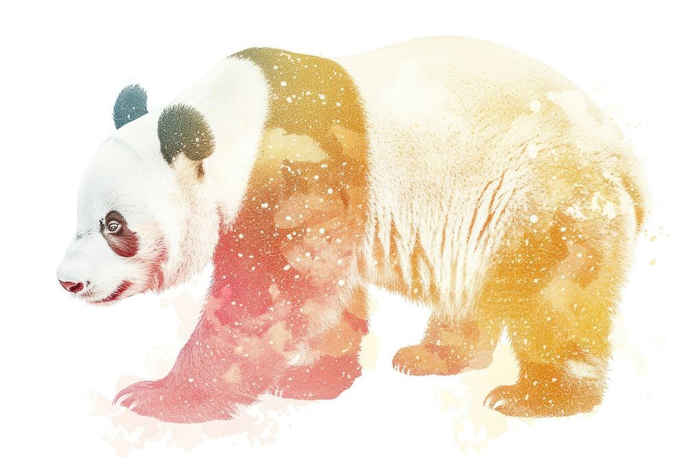 Panda animal mammal bear. | Premium Photo Illustration - rawpixel