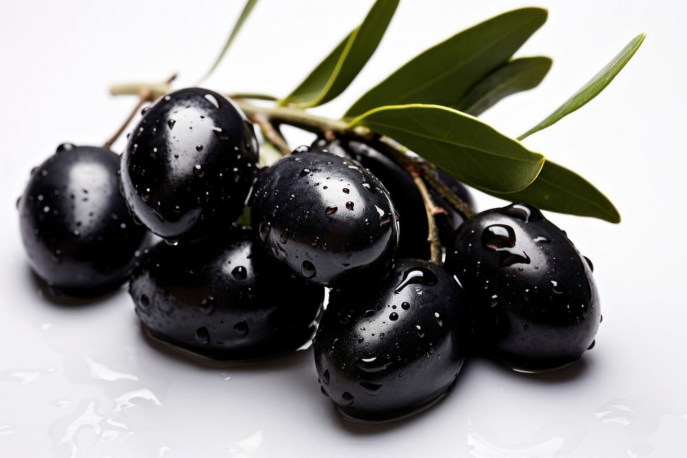 Perfect olive branch fruit berry | Premium Photo - rawpixel