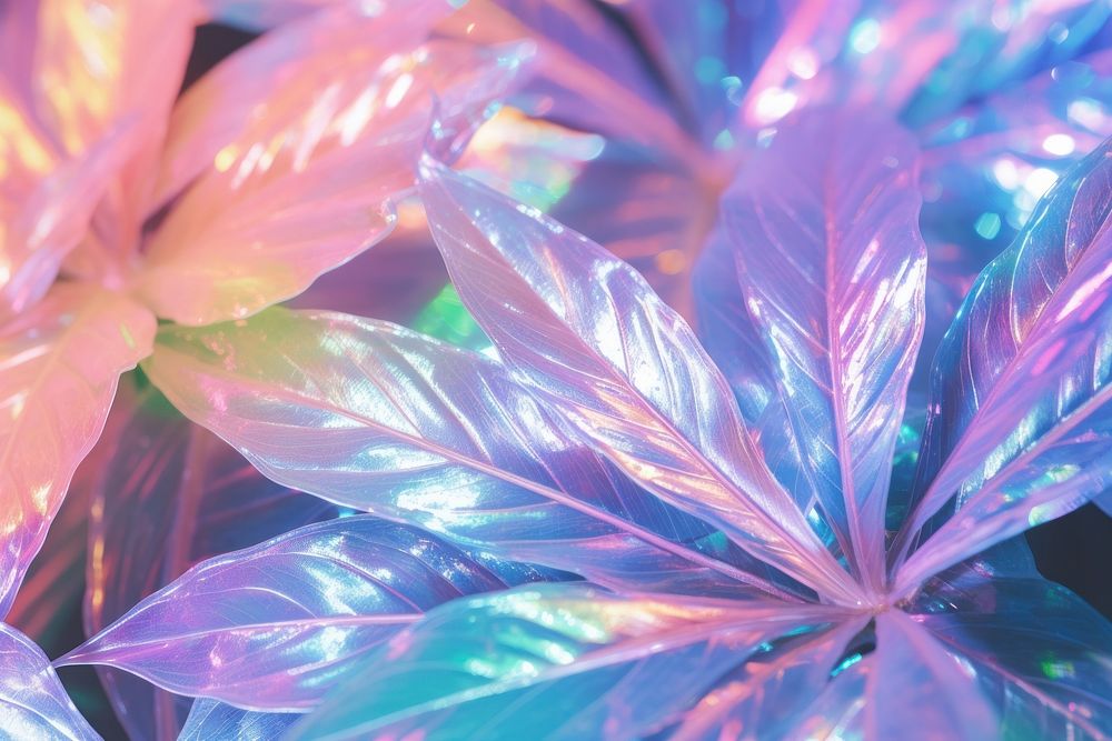 Plant texture backgrounds illuminated fragility. | Free Photo - rawpixel