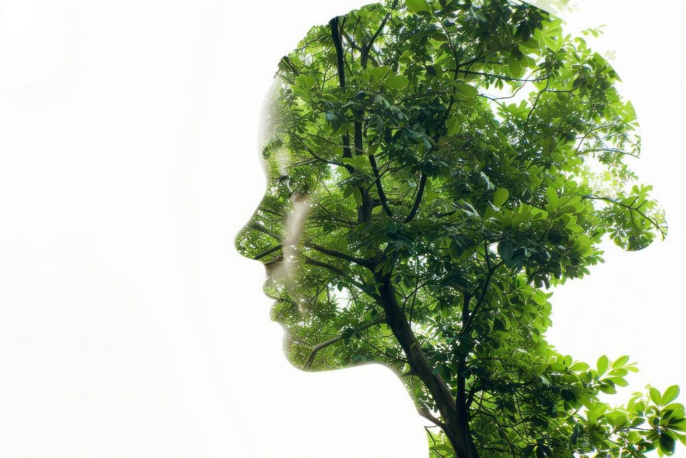 Climate change background outdoors nature | Premium Photo - rawpixel