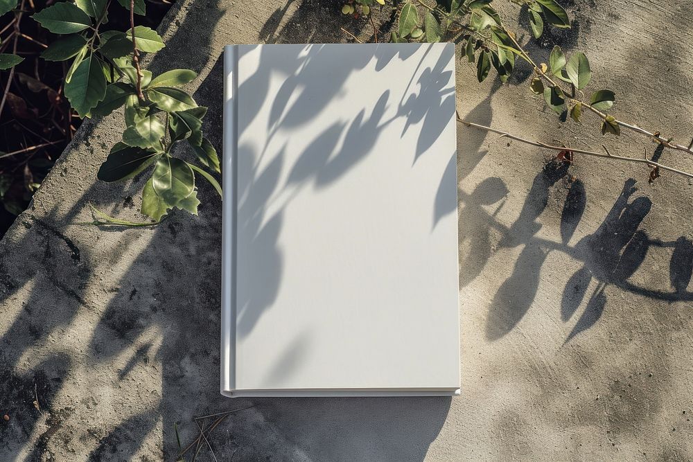 Book shadow white architecture. | Free Photo - rawpixel