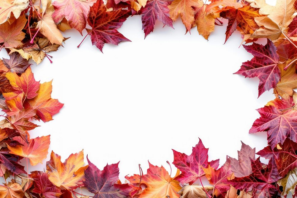 Frame Autumn Leaves backgrounds autumn | Free Photo - rawpixel