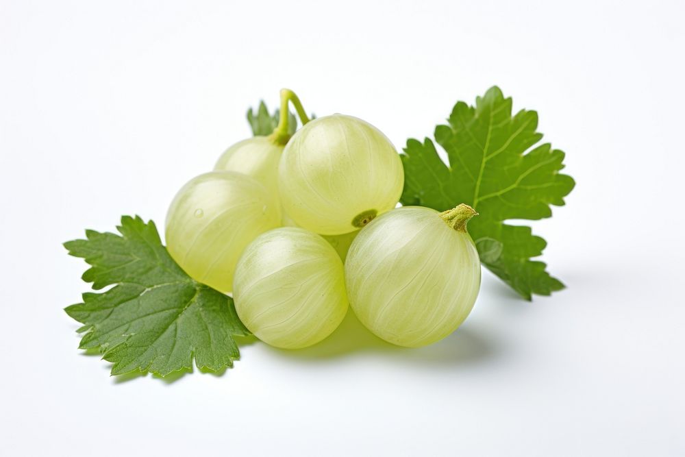 Gooseberry grapes fruit plant | Free Photo - rawpixel