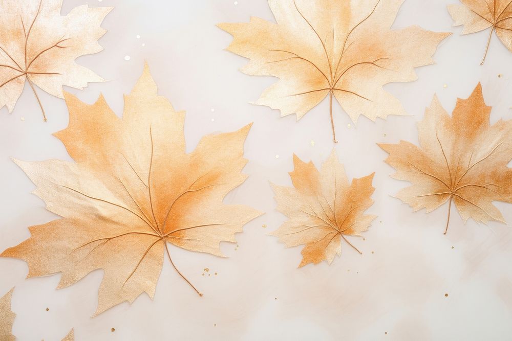 Maple backgrounds leaves plant. | Free Photo Illustration - rawpixel