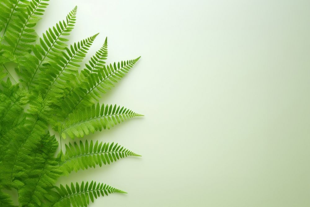 Greenery backgrounds plant green | Free Photo - rawpixel