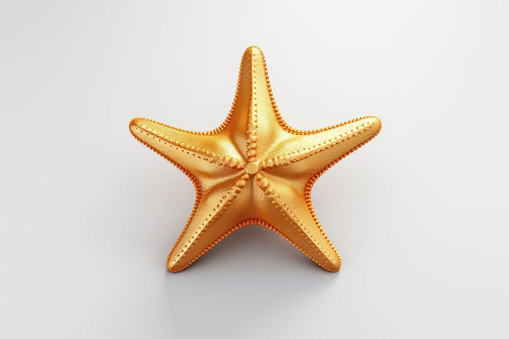 Star fish starfish gold invertebrate. | Premium Photo Illustration ...