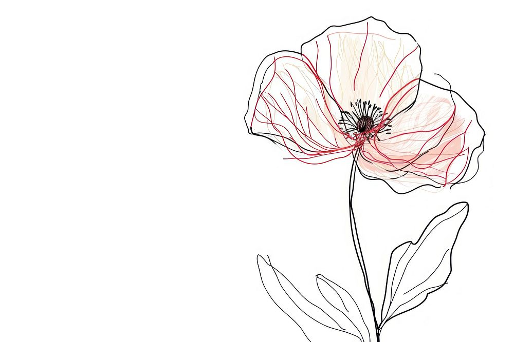Continuous line drawing poppy flower | Premium Photo Illustration ...
