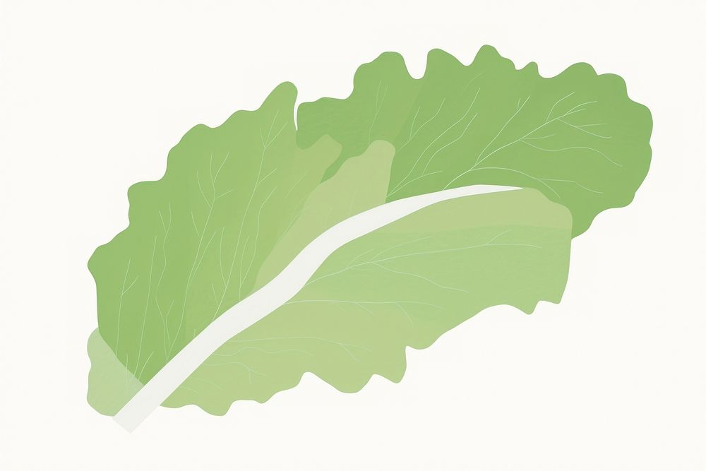 Lettuce minimalist form vegetable plant | Premium Photo Illustration ...