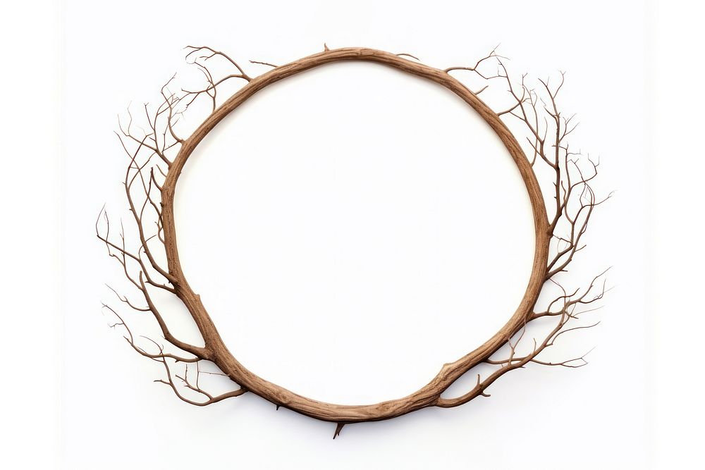 Tree branch circle wood white | Premium Photo - rawpixel