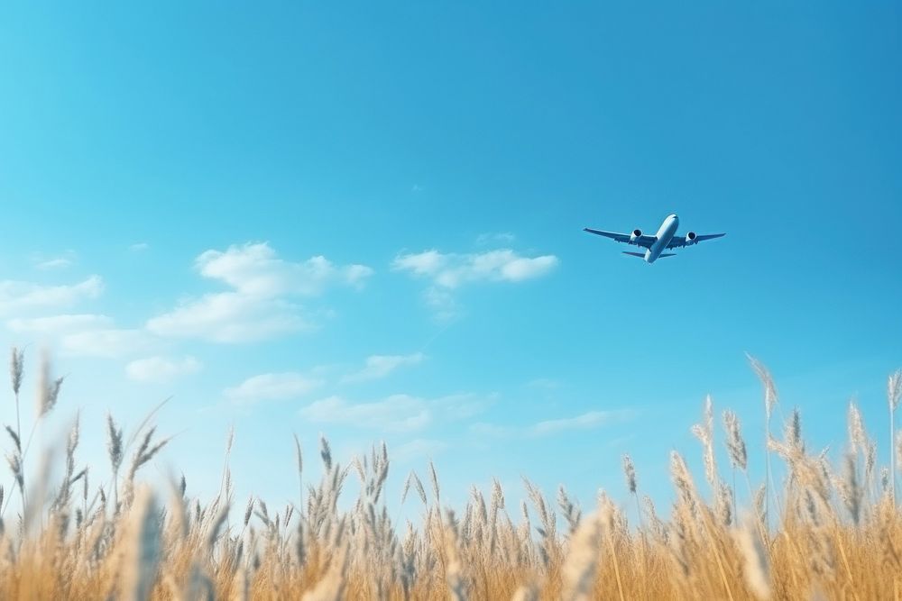 Blue sky airplane aircraft airliner. | Free Photo - rawpixel