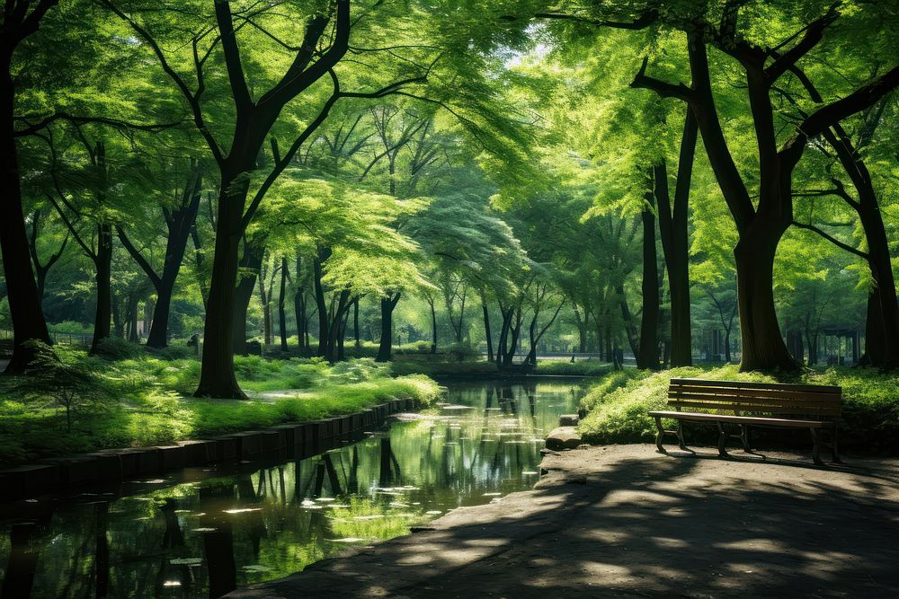 Greenery park landscape outdoors woodland. | Premium Photo - rawpixel