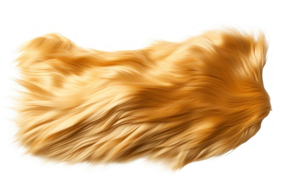 Gold fur fabric textile white | Premium Photo - rawpixel