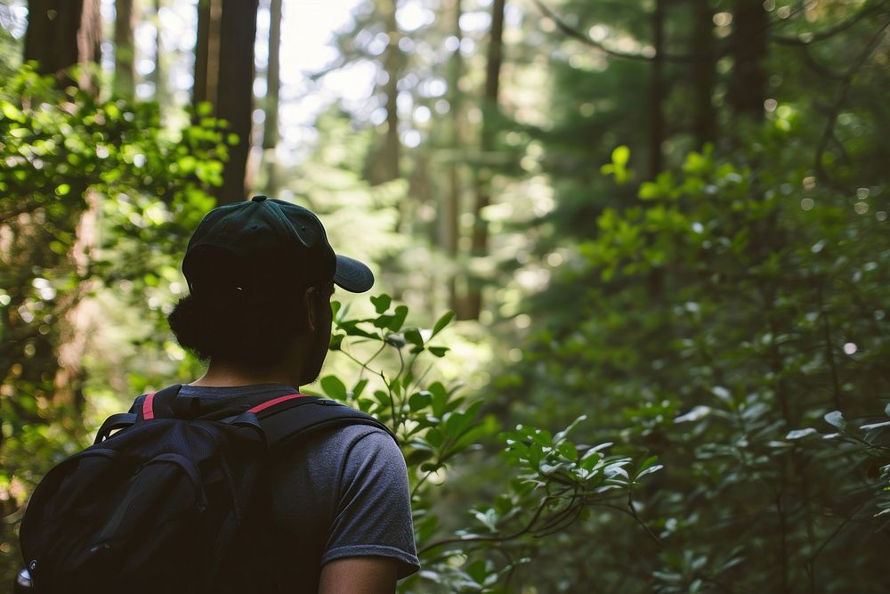 Hiking forest outdoors adventure woodland | Free Photo - rawpixel