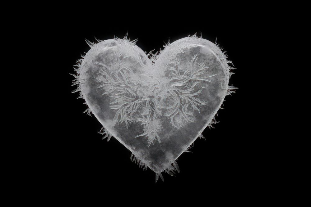 Frosted ice human heart black | Premium Photo - rawpixel