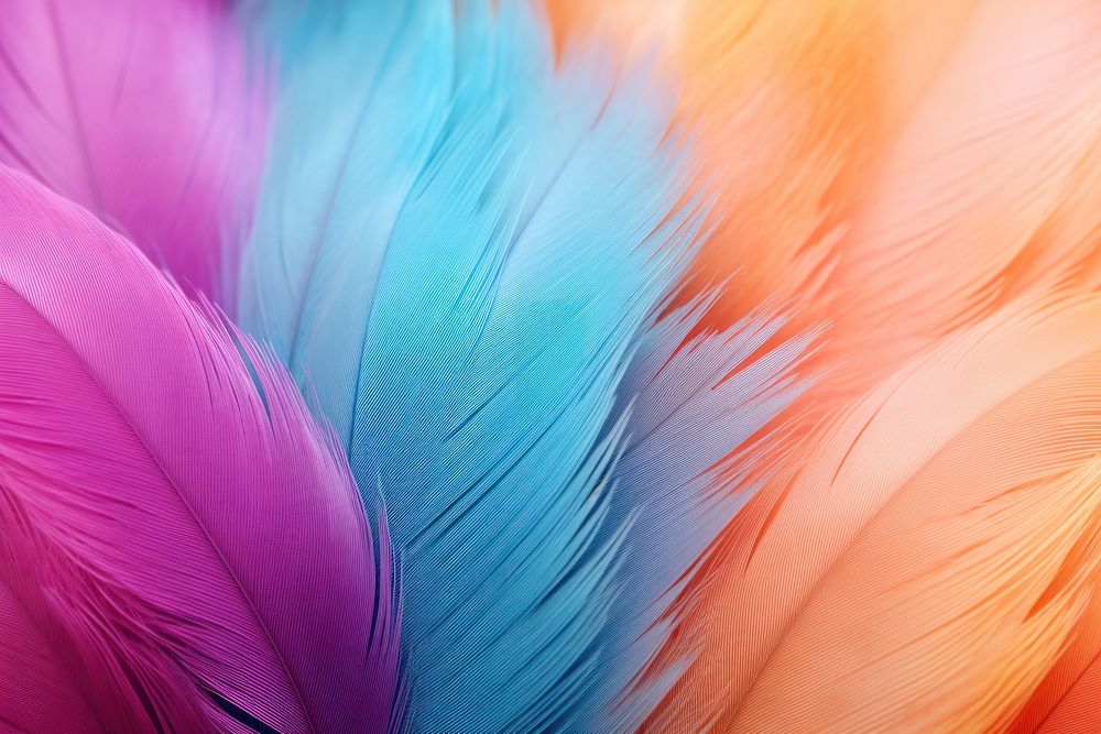 Rainbow backgrounds feather pattern. | Free Photo - rawpixel