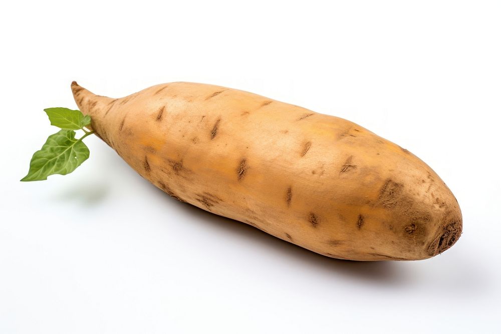 Yam vegetable plant food | Free Photo - rawpixel