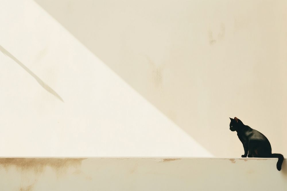 lazy black cat window sill | Premium Photo - rawpixel