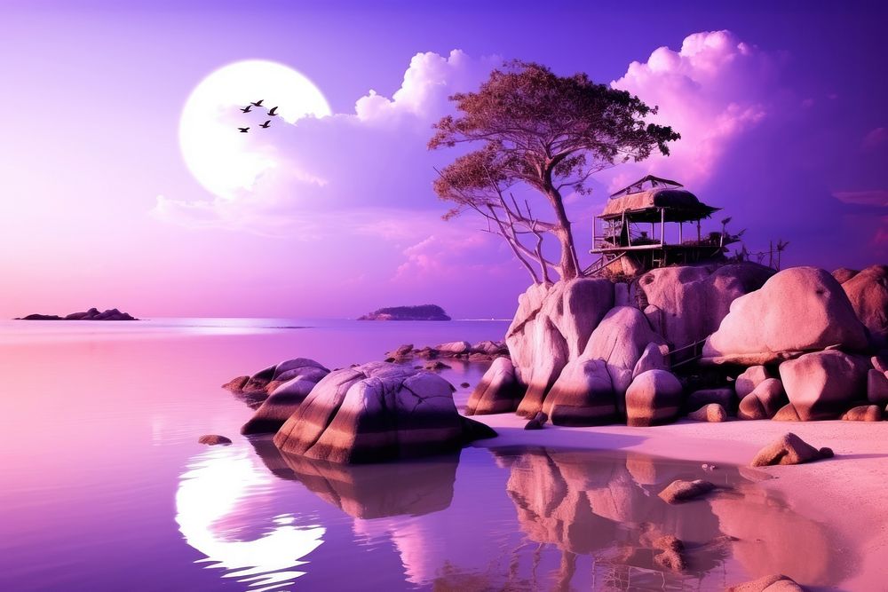 Purple sunset beach landscape outdoors. | Premium Photo Illustration ...