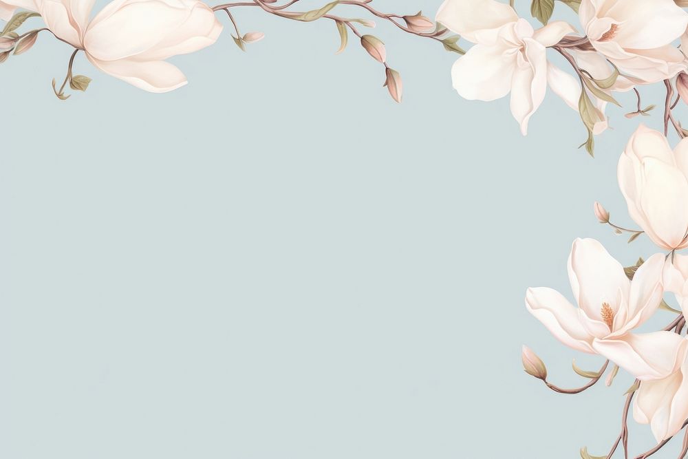 Magnolia border frame backgrounds blossom | Free Photo Illustration ...