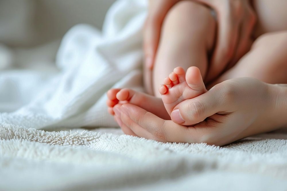 Housing+and+nails Background Images | Free Photos, PNG Stickers ...