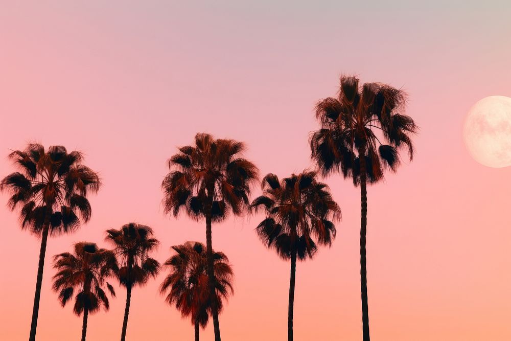 Pink sky tree outdoors nature. | Premium Photo Illustration - rawpixel