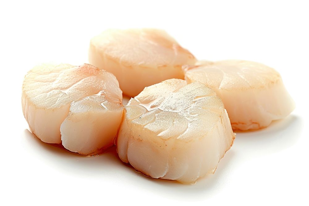 Scallop meat seafood white background | Premium Photo - rawpixel