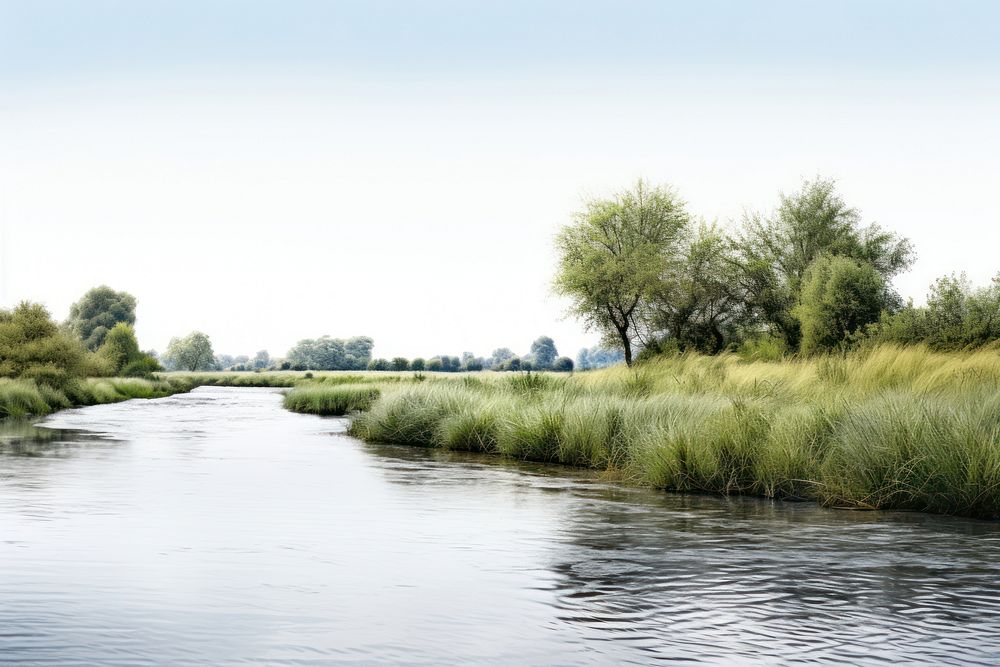 River side landscape nature outdoors. | Premium Photo - rawpixel