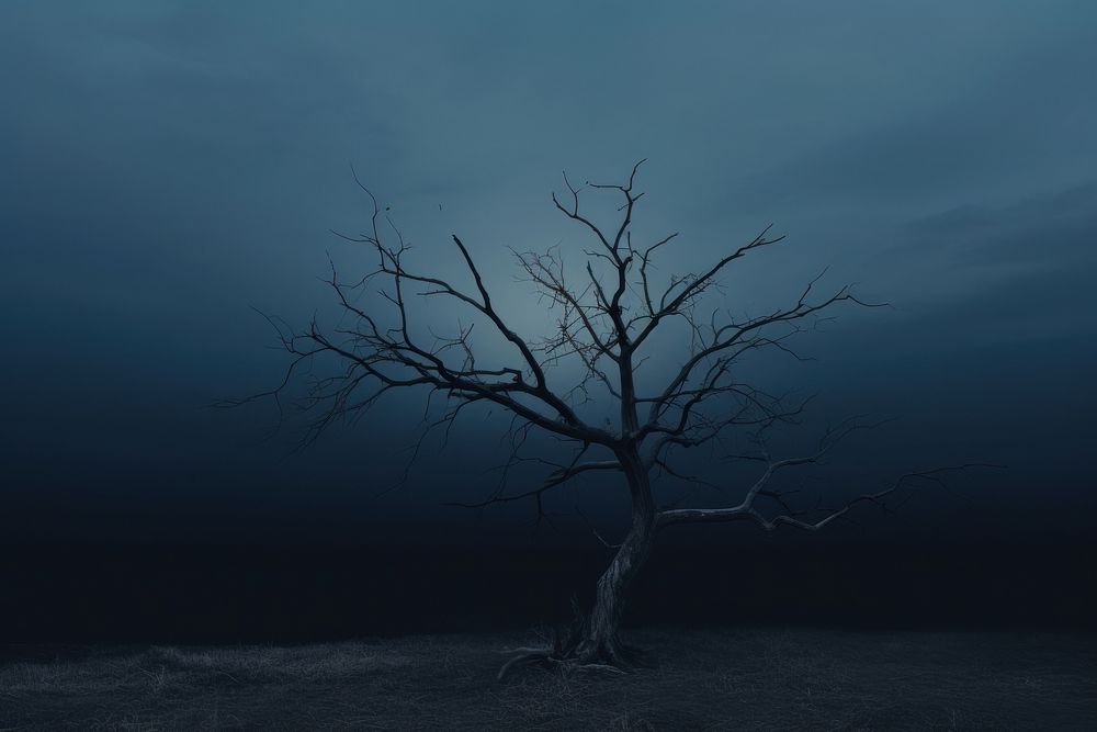 Dark background tree outdoors nature. | Free Photo - rawpixel