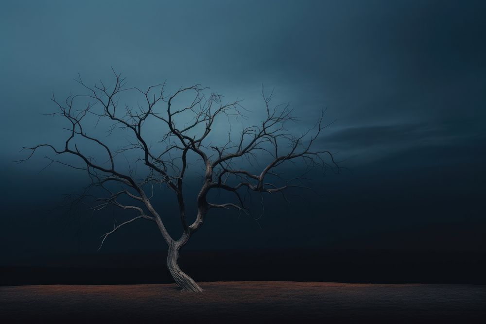 Dark background tree outdoors nature. | Premium Photo - rawpixel